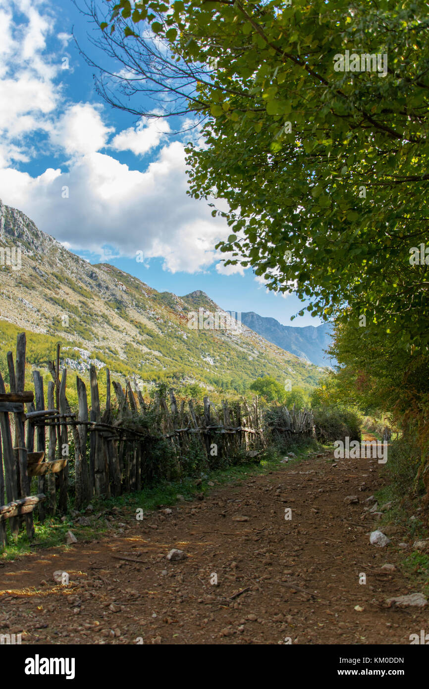 Country road in the mountain. Discover the unknown roads Stock Photo ...