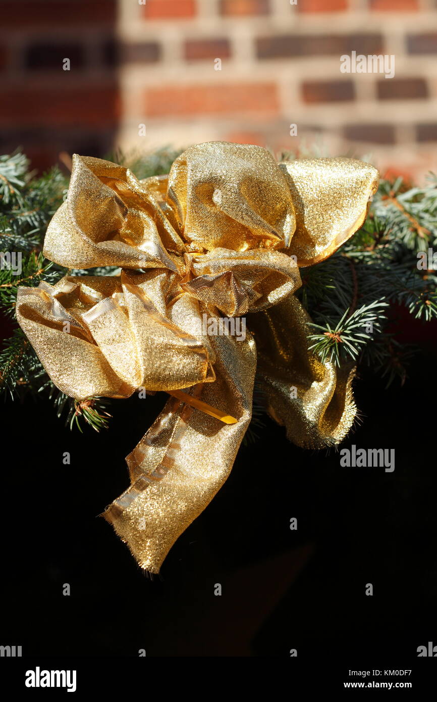 Tree branch loops hi-res stock photography and images - Alamy