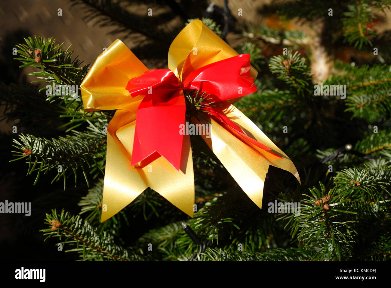 red-golden loop in a Christmas tree, Christmas decoration Stock Photo ...