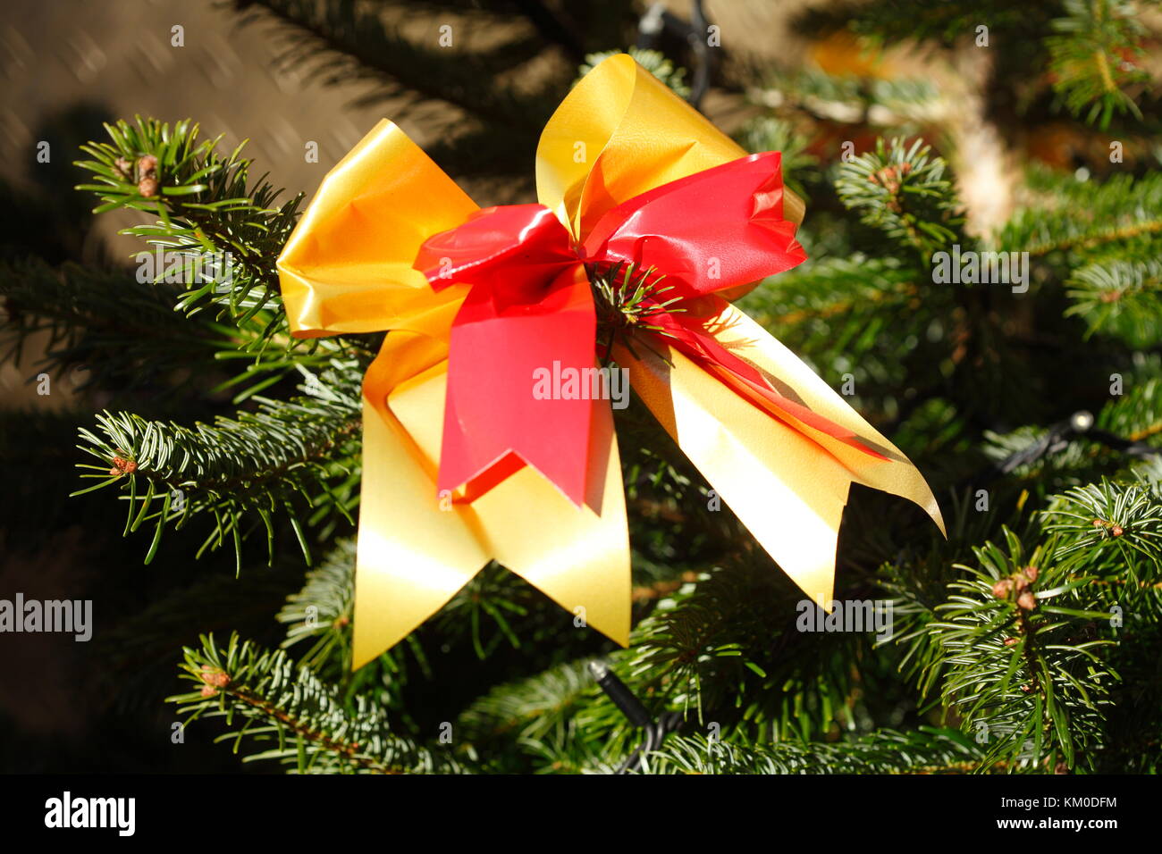 Tree branch loops hi-res stock photography and images - Alamy