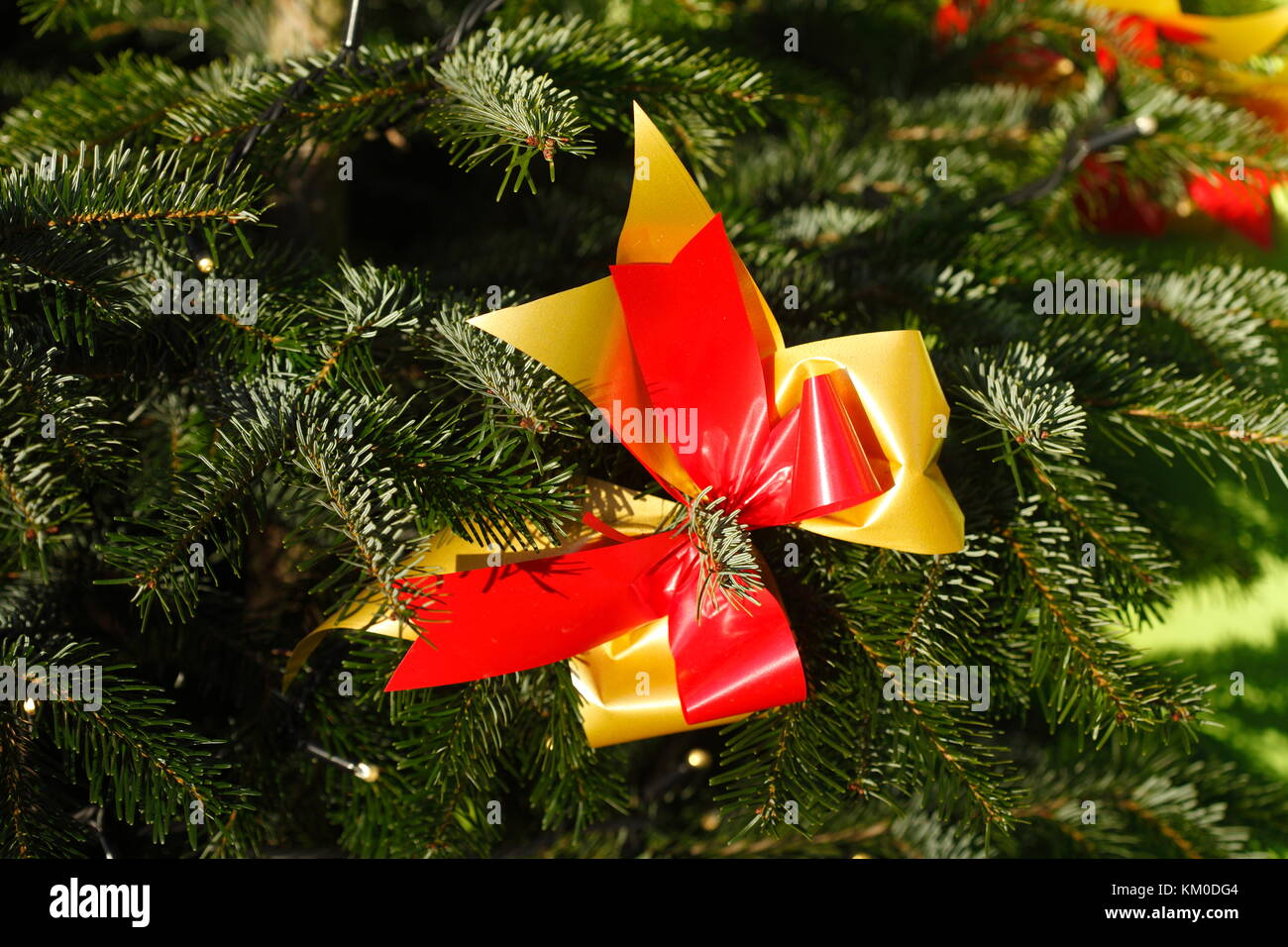 Tree branch loops hi-res stock photography and images - Alamy
