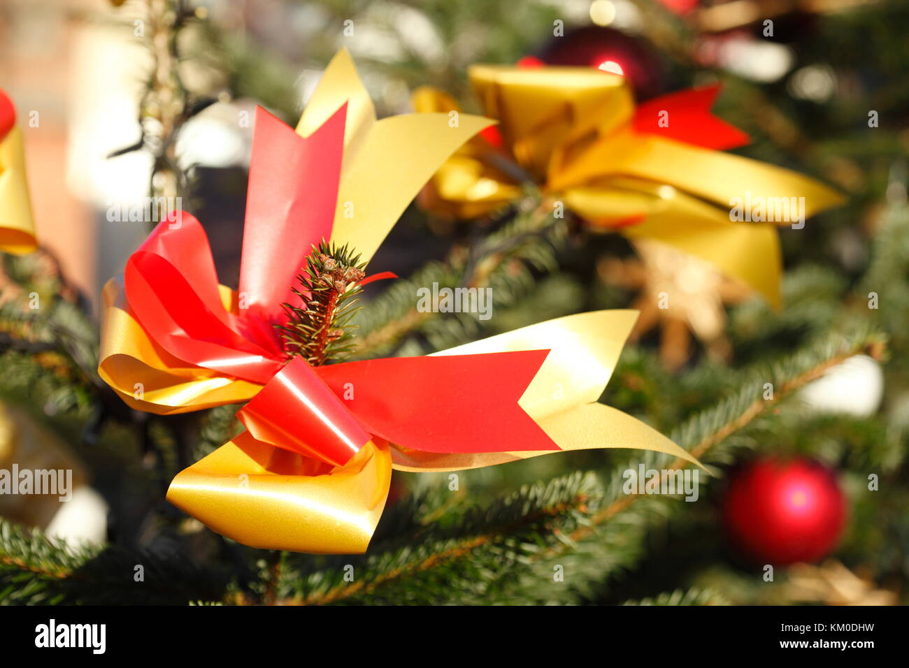 Tree branch loops hi-res stock photography and images - Alamy