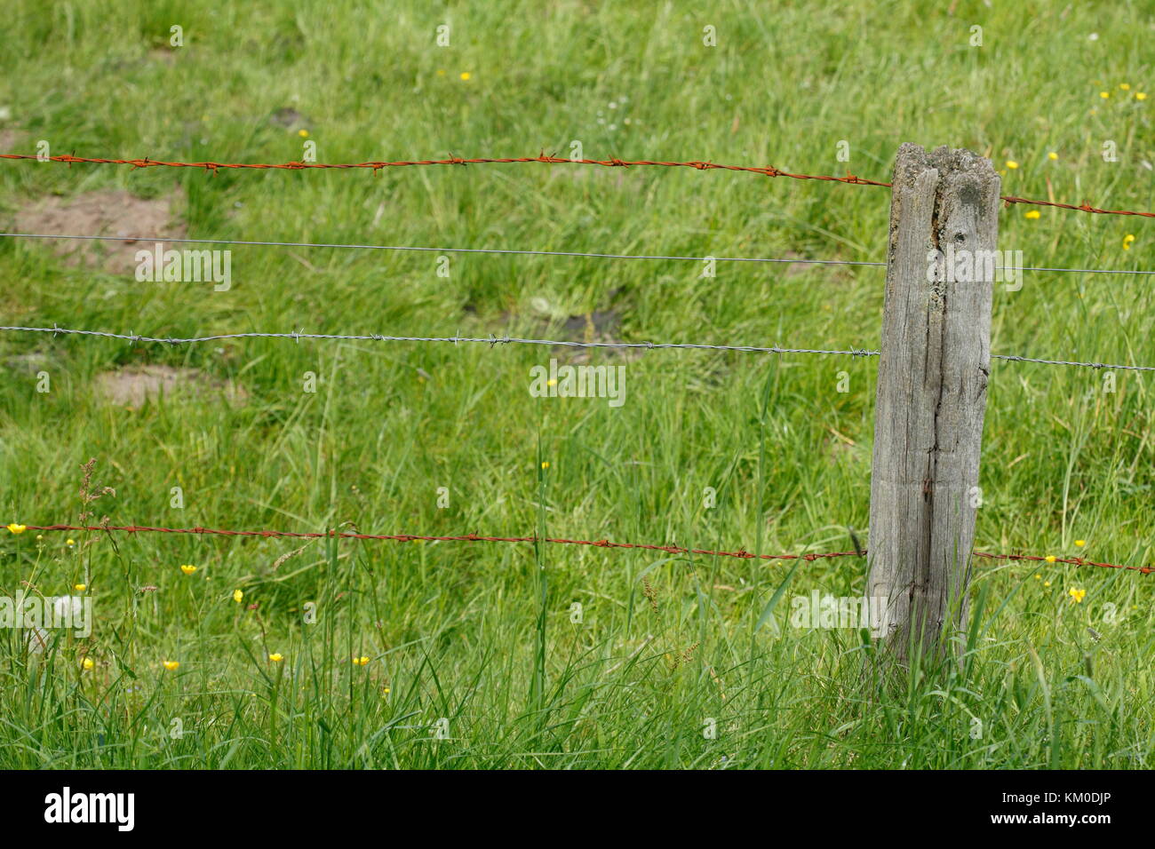 Wooden Paddock Fence, Fence Plank Stock Photo - Alamy