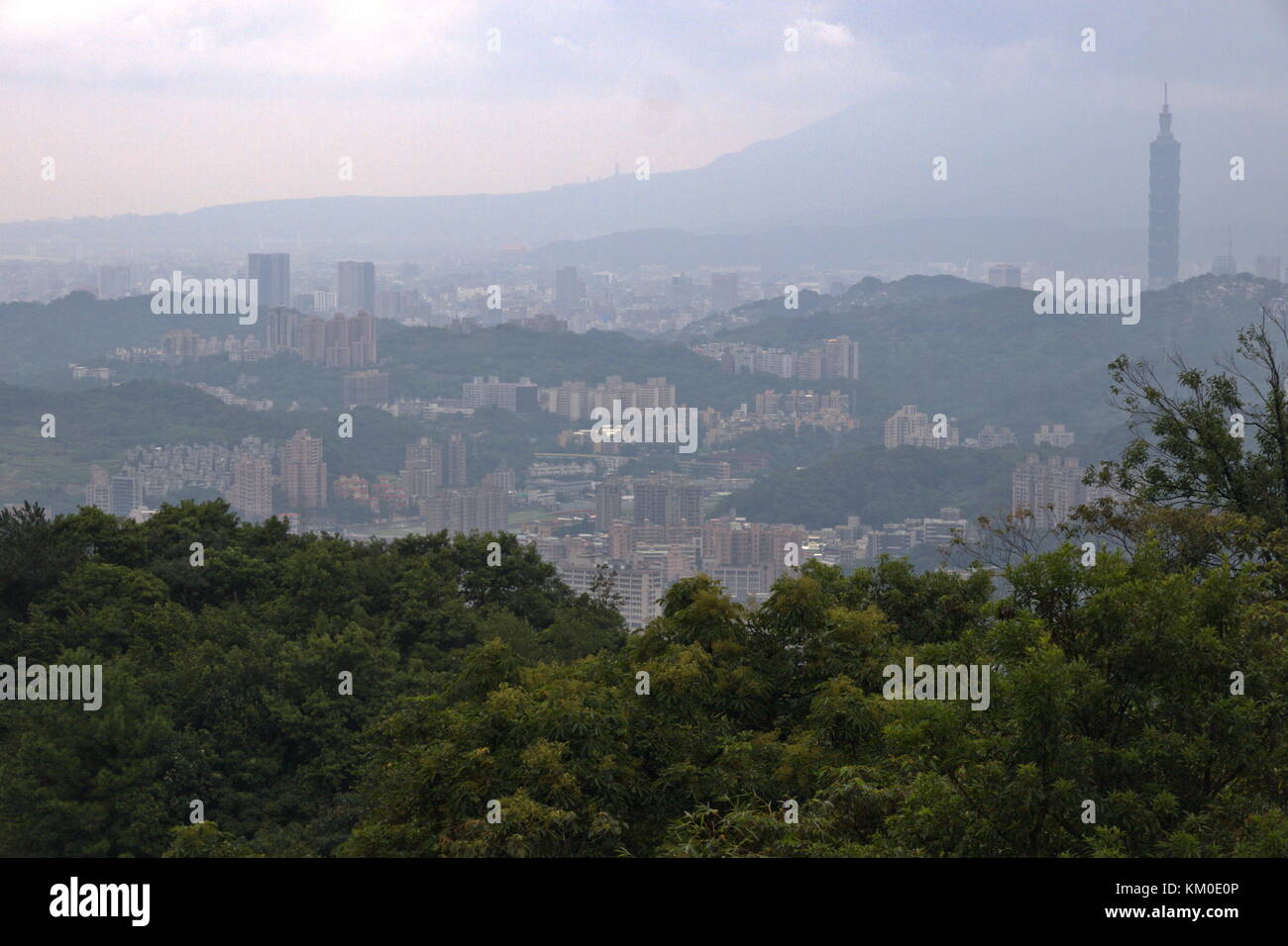 Taipei skyline with jungle vegetation in the foreground Stock Photo - Alamy