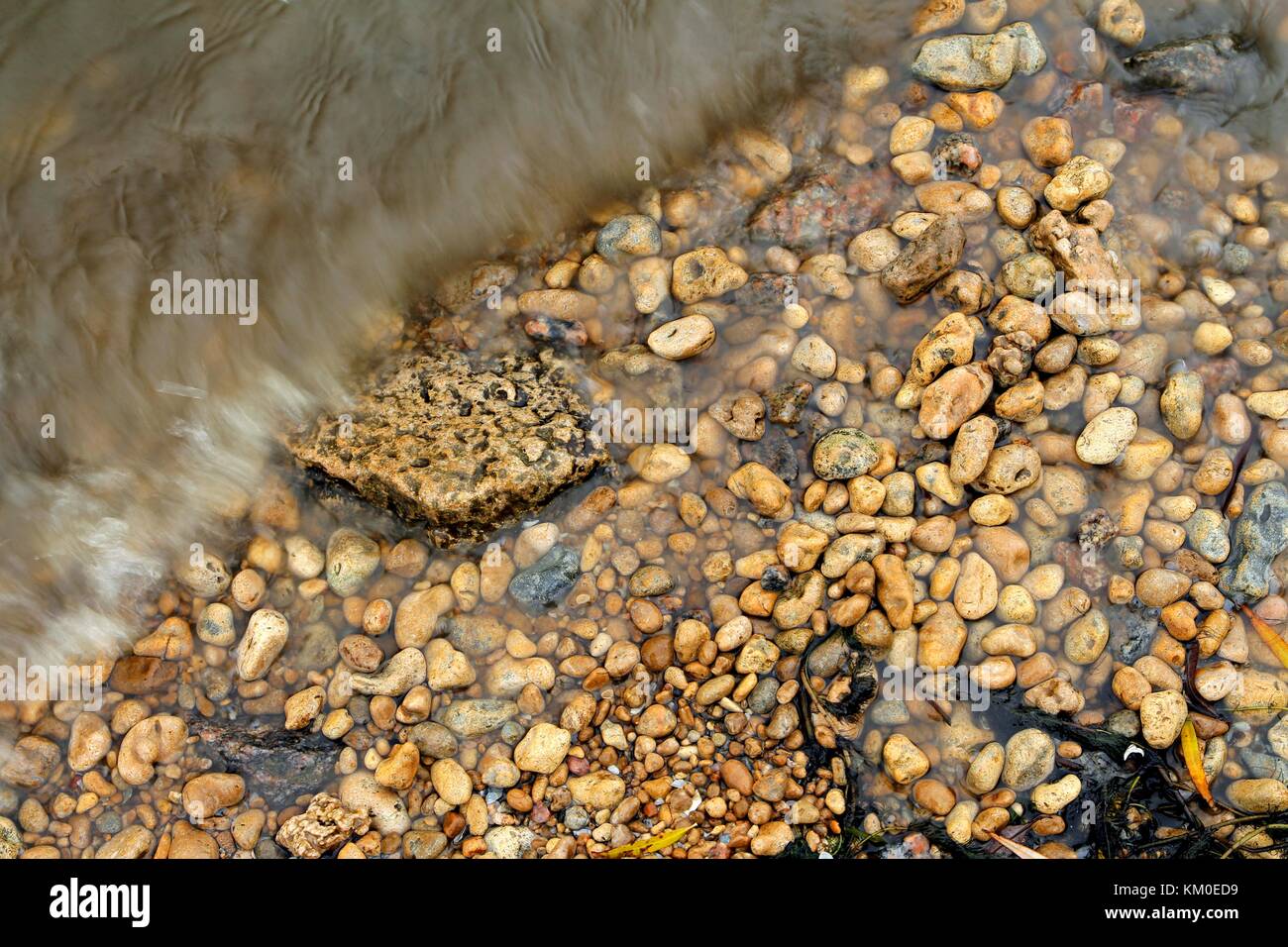 Surf,pebbles and shells Stock Photo - Alamy