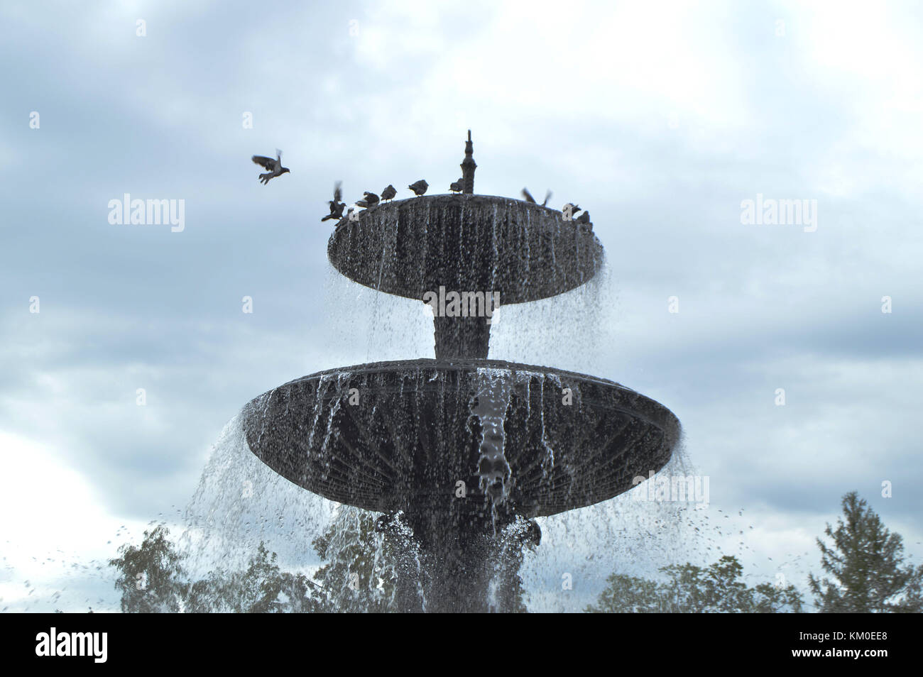 Squirt, splash water fountain. Pigeons sit on a city fountain Stock ...