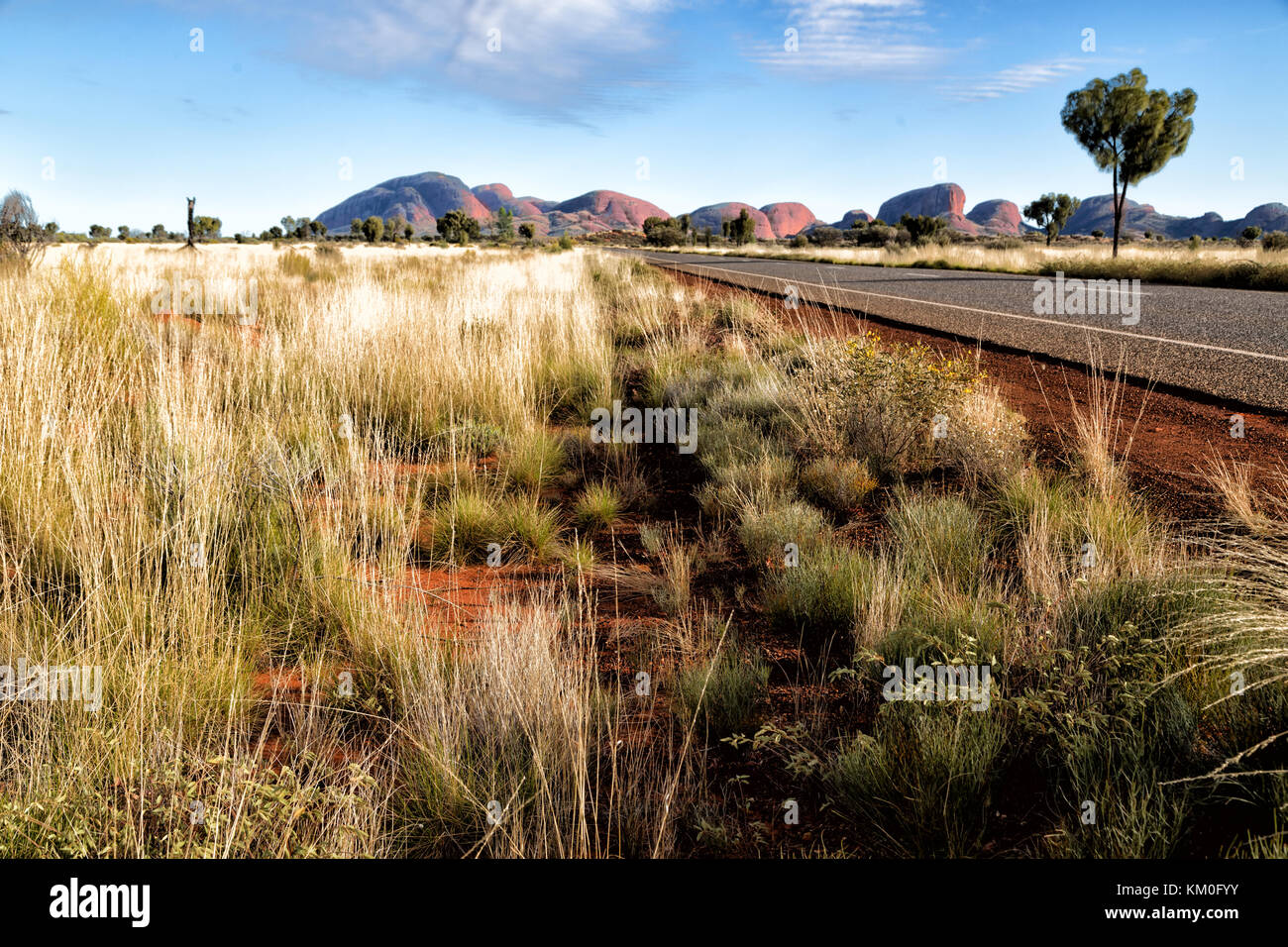 in australia the concept of wilderness environment in the landscape ...