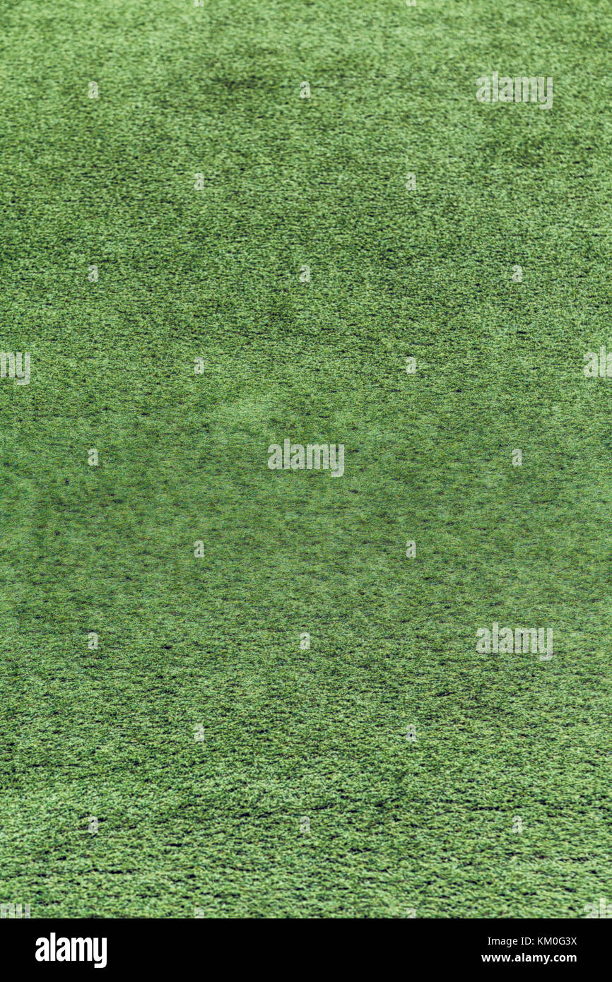 abstract texture background of the grass field in the park Stock Photo ...