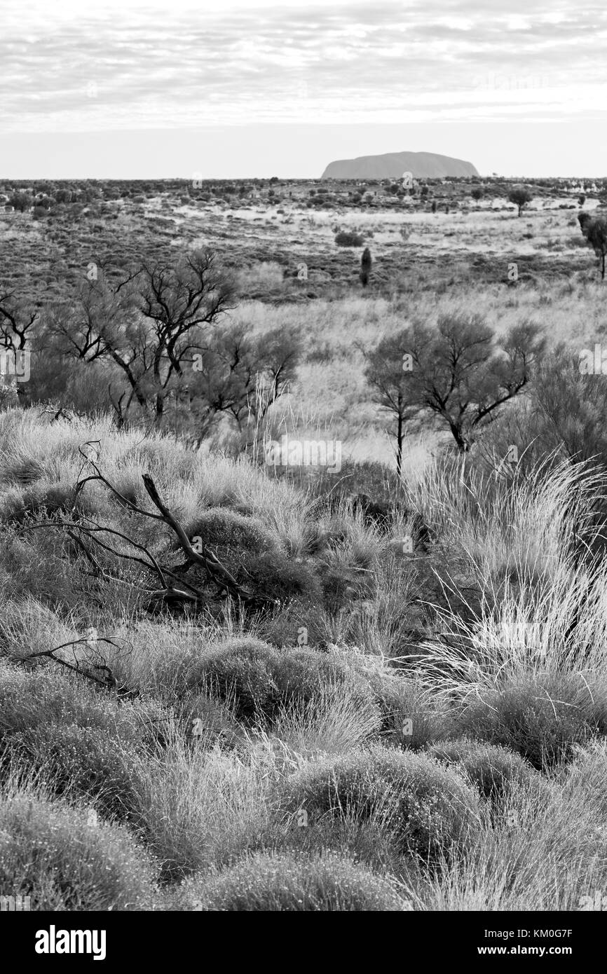 in australia the concept of wilderness environment in the landscape ...