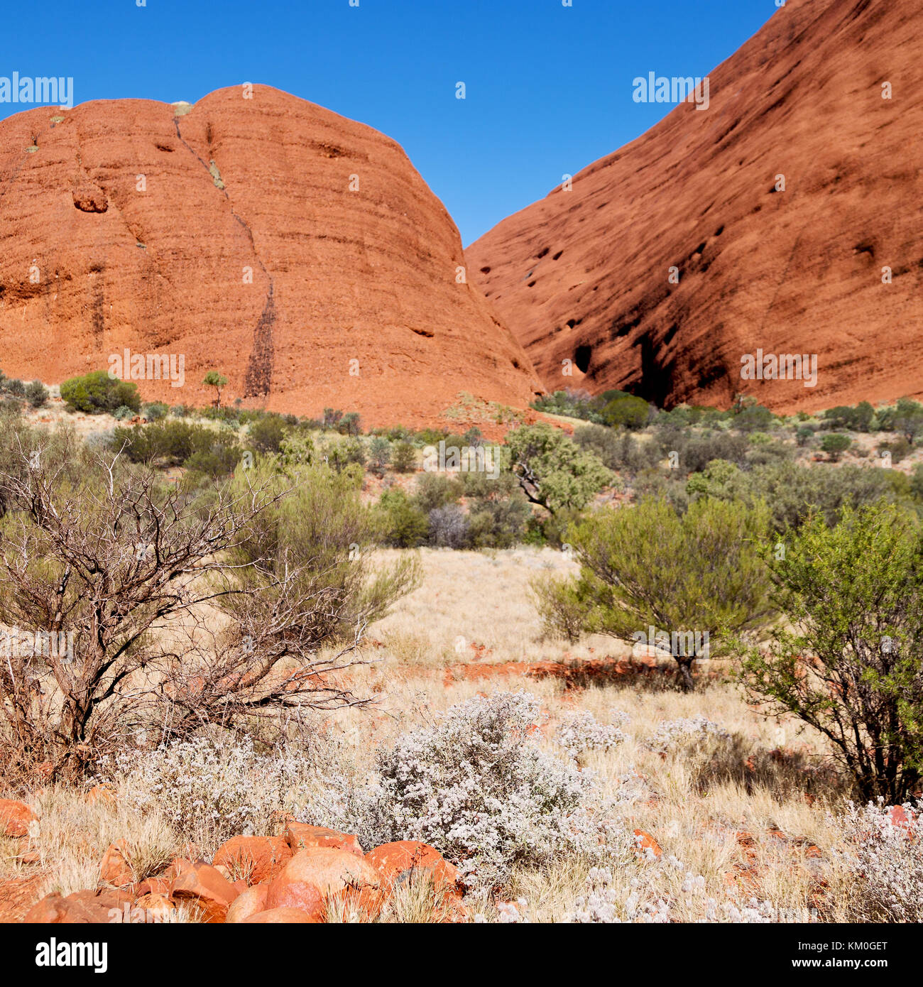 in australia the outback canyon and near mountain in the nature Stock ...