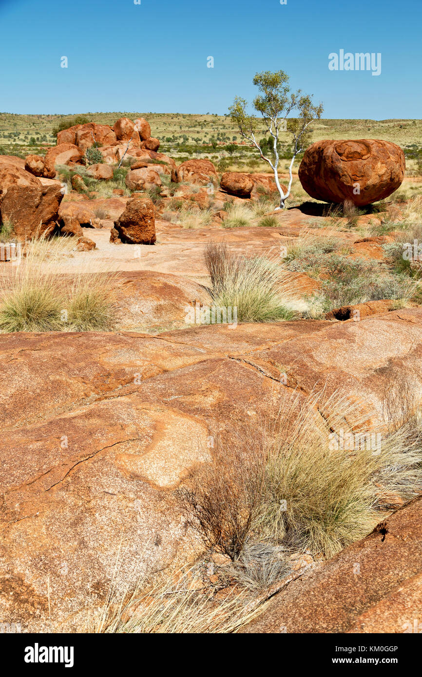 in australia the rocks of devil s marble in the northern territory ...