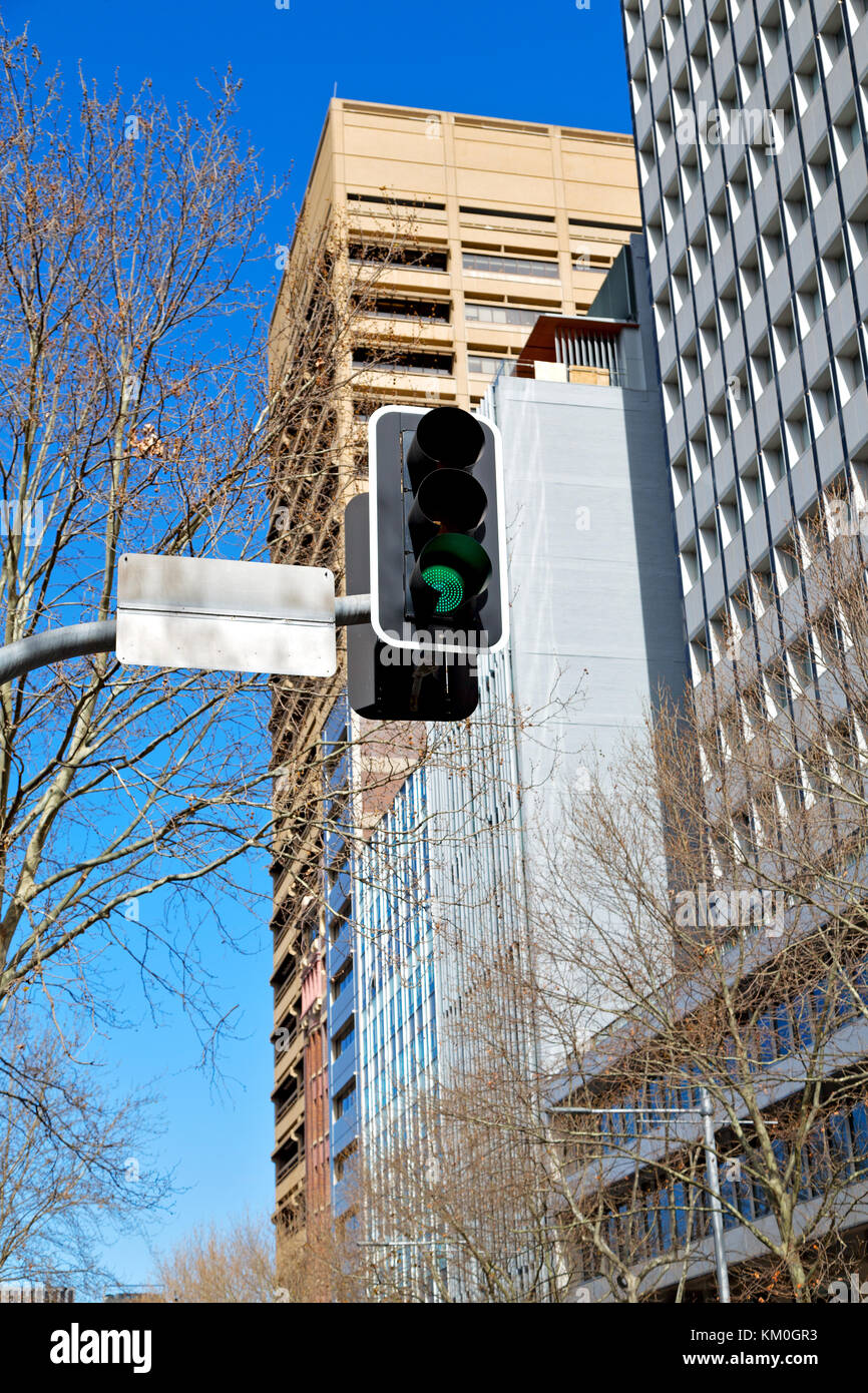 in australia sydney the traffic light and background of the city Stock ...