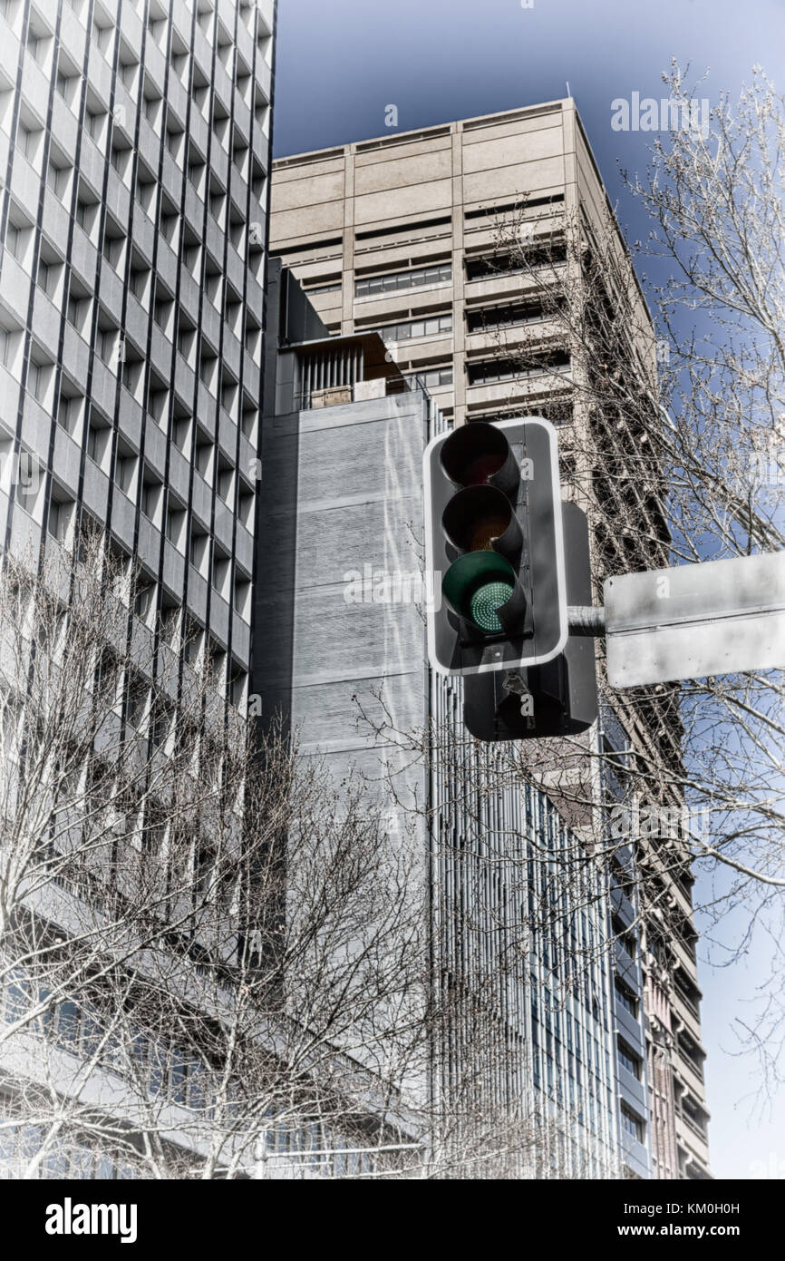 in australia sydney the traffic light and background of the city Stock ...