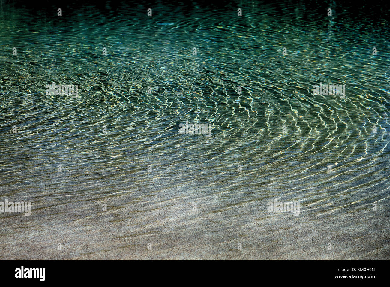 in australia the concept of relax in the clean water near coastline ...
