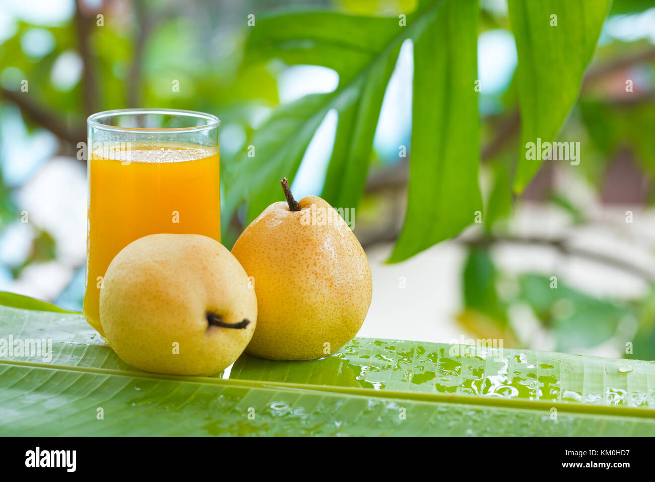 Fresh yellow pear fruit summer refreshment smoothie shake drink tropic ...