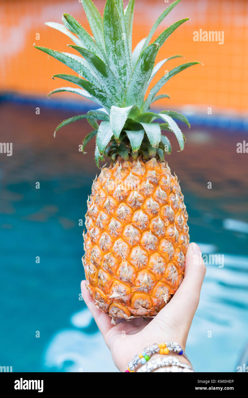 Fresh yellow pineapple tropic fruit summer in woman hands carrying near ...