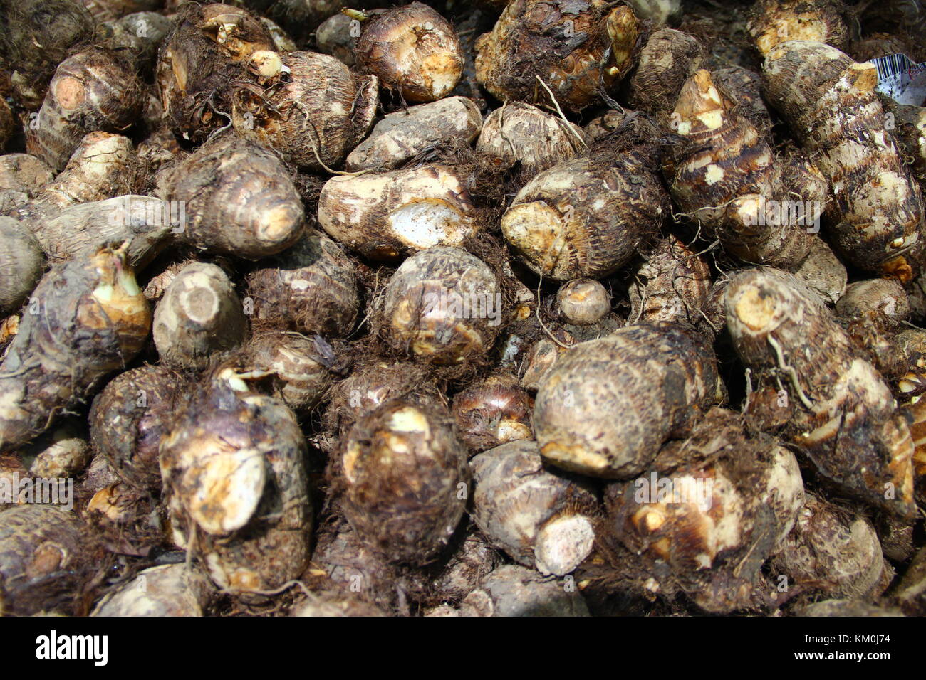 Raw taro on sale in a supermarket Stock Photo - Alamy