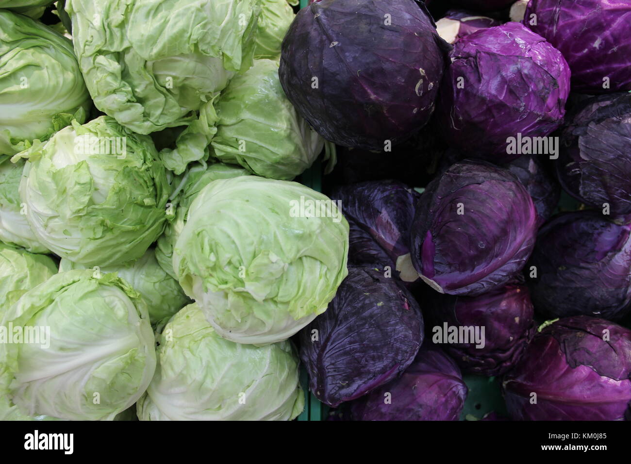Cabbage on sale in a supermarket Stock Photo - Alamy