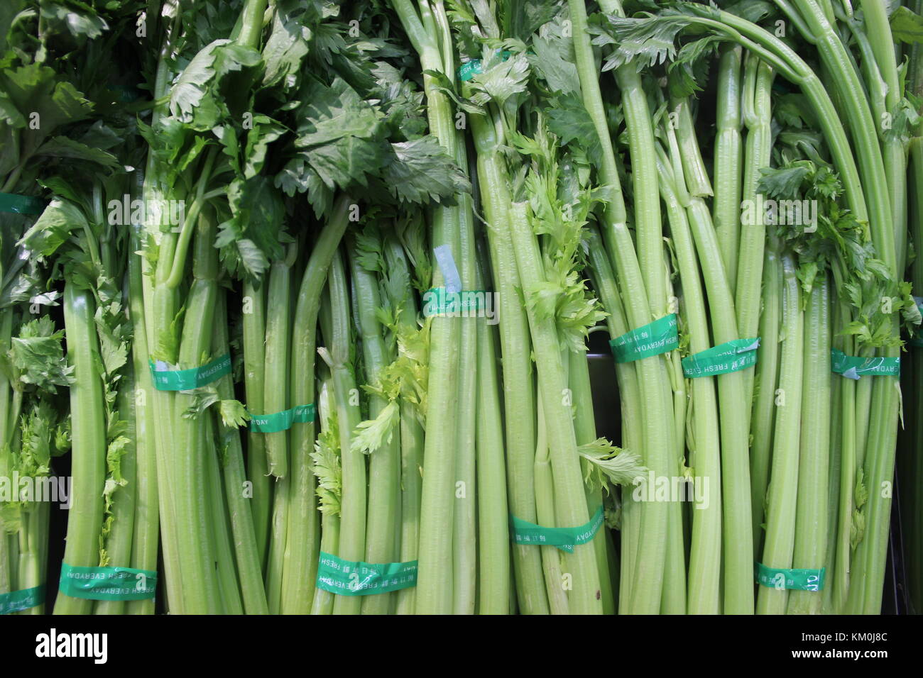 Celery on sale in a supermarket Stock Photo - Alamy