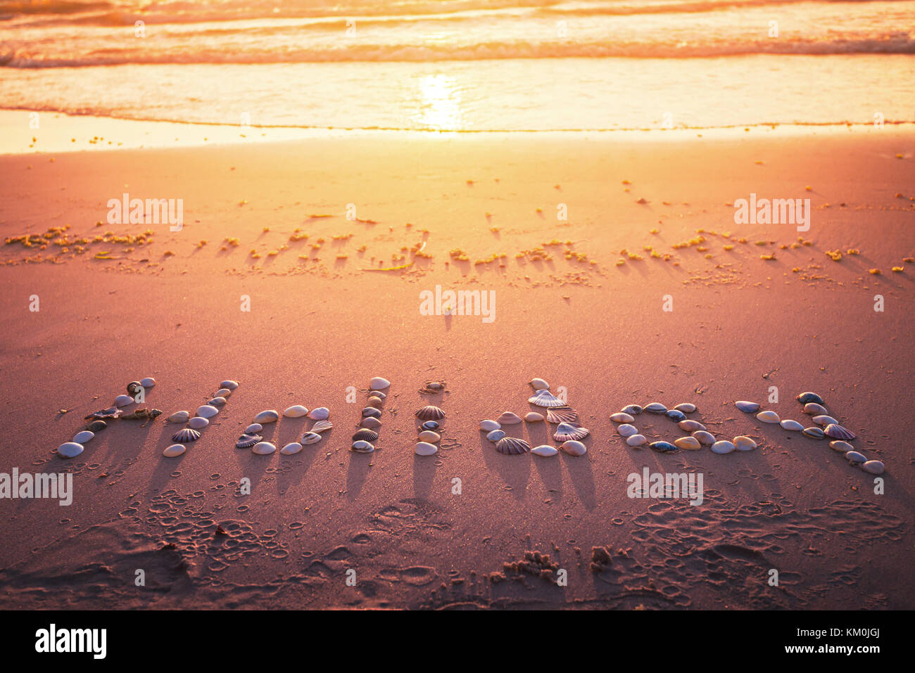 Holiday text made of shells on sand at the beach. Beach holidays ...