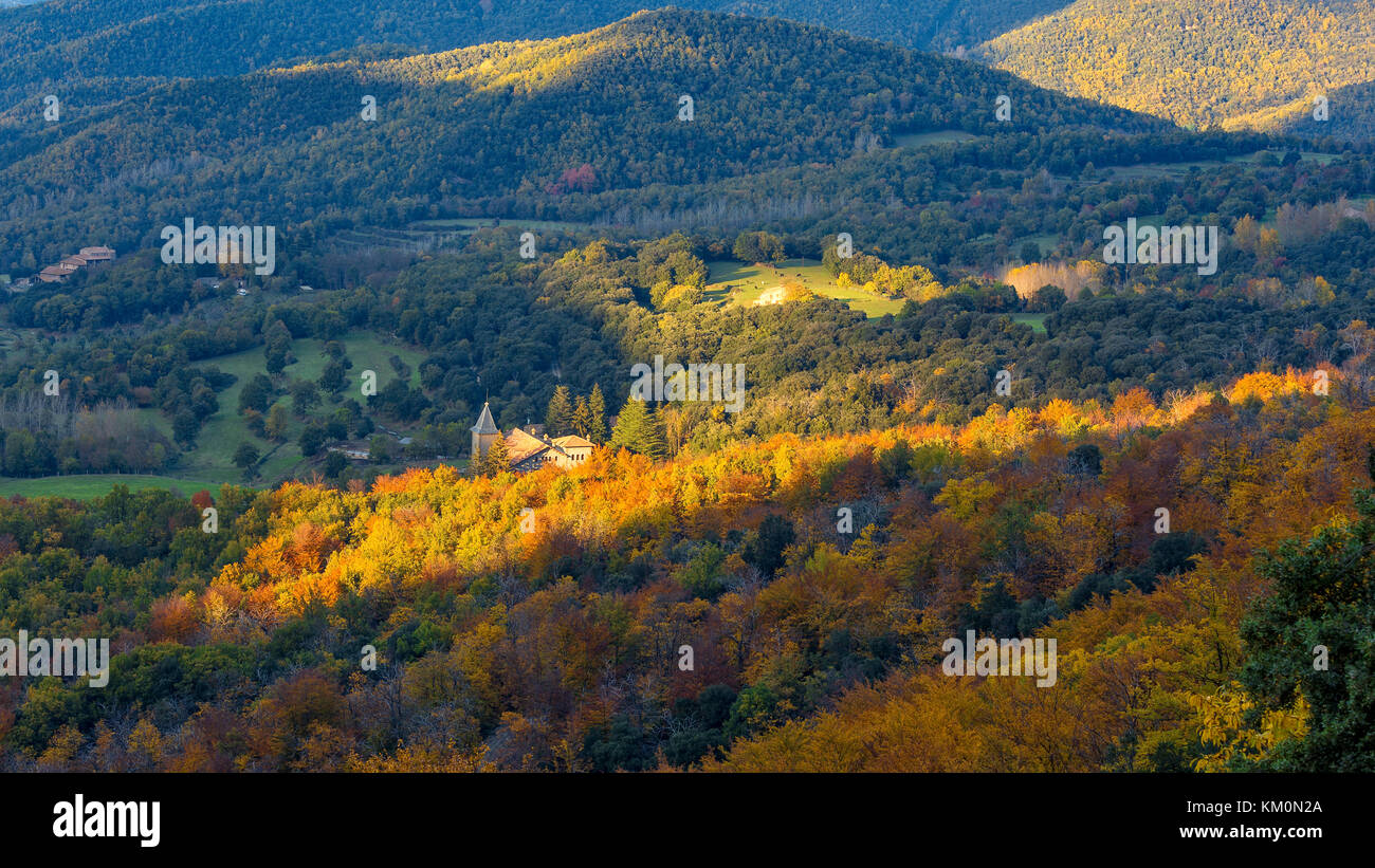Beautifal autumn beech forest en mountain Montseny in Spain Stock Photo ...