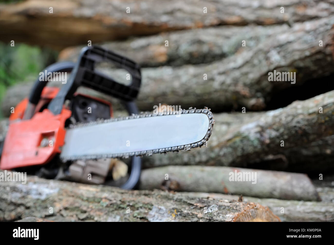 Close-up professional chainsaw blade cutting log of wood Stock Photo ...