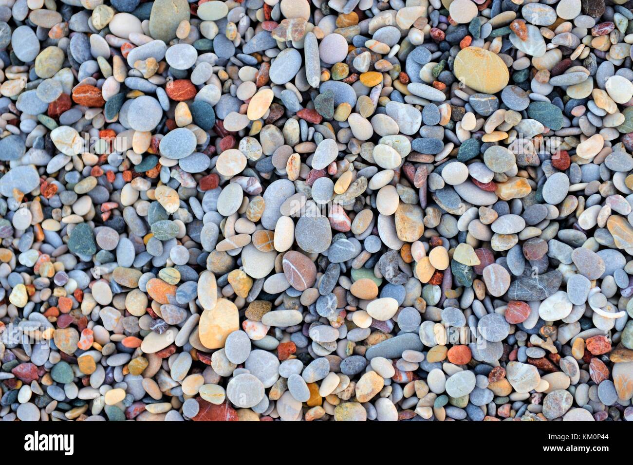 Colorful pebble stones texture by the beach Stock Photo - Alamy