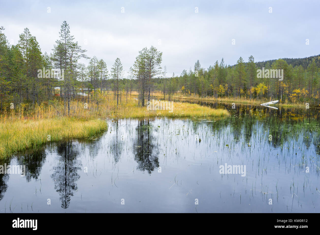Forests and lakes view in autumn. Fall colors - ruska time in Iivaara ...