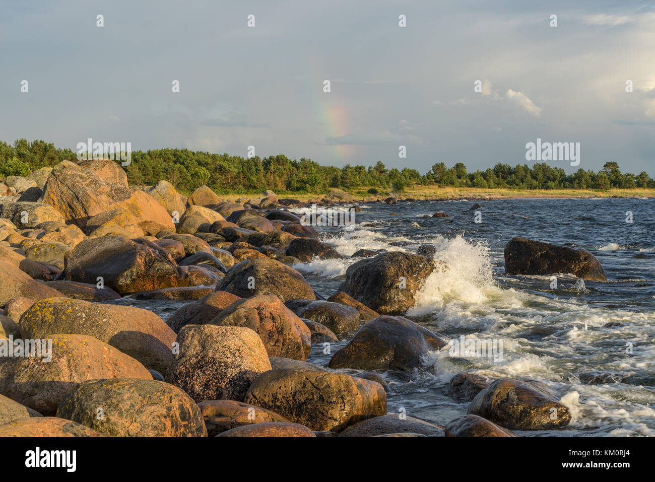 Boulders, forest, shore, evening light, sunset, clouds, blue sky and ...