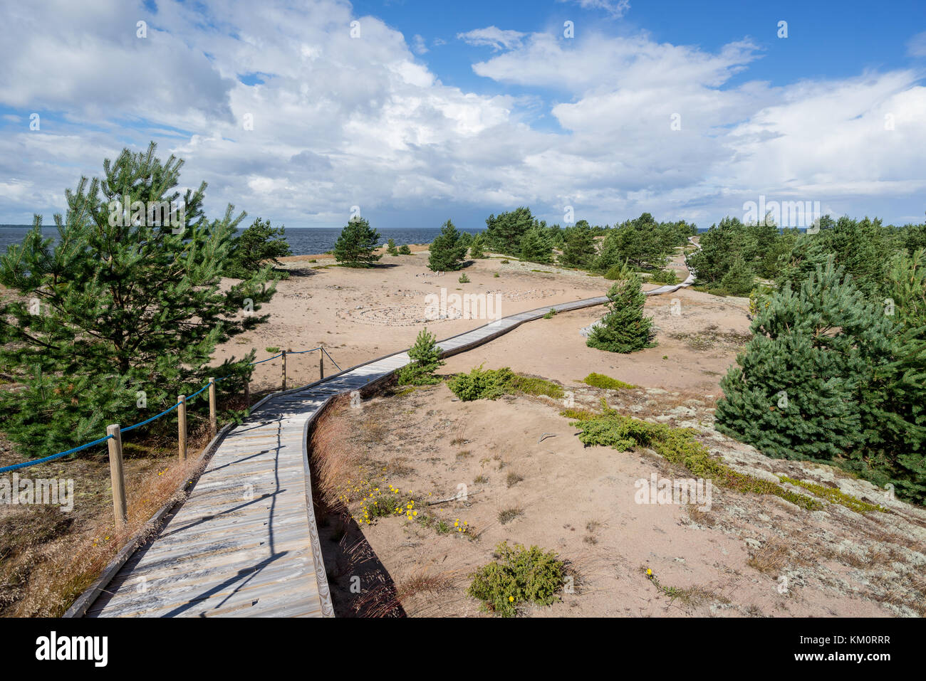 Boardwalk, sandstorm, sand, juniper, lichens natural environment on ...