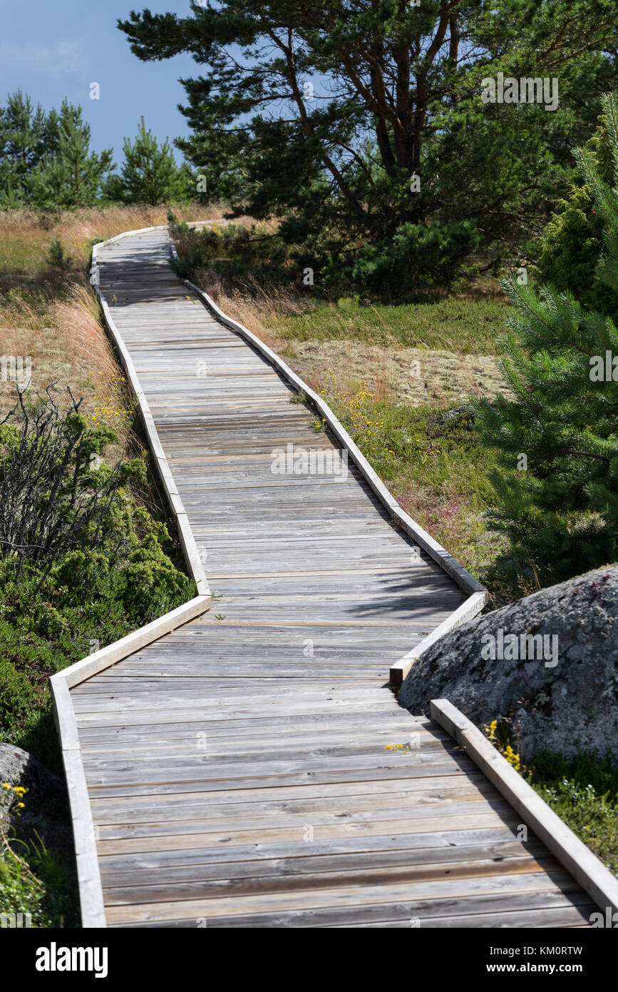 Boardwalk, sandstorm, sand, juniper, lichens natural environment on ...