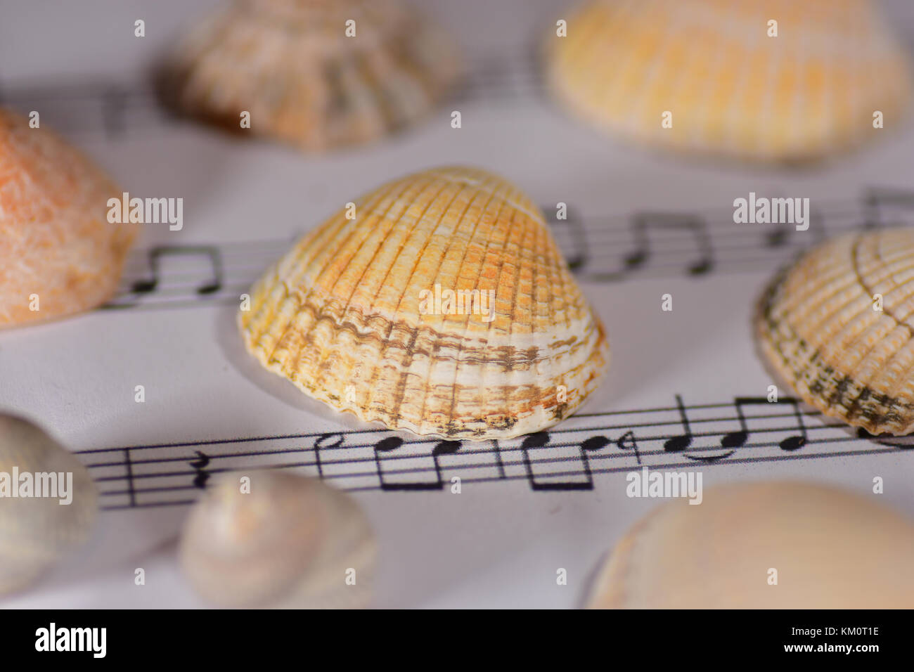 Sheet_music hi-res stock photography and images - Alamy