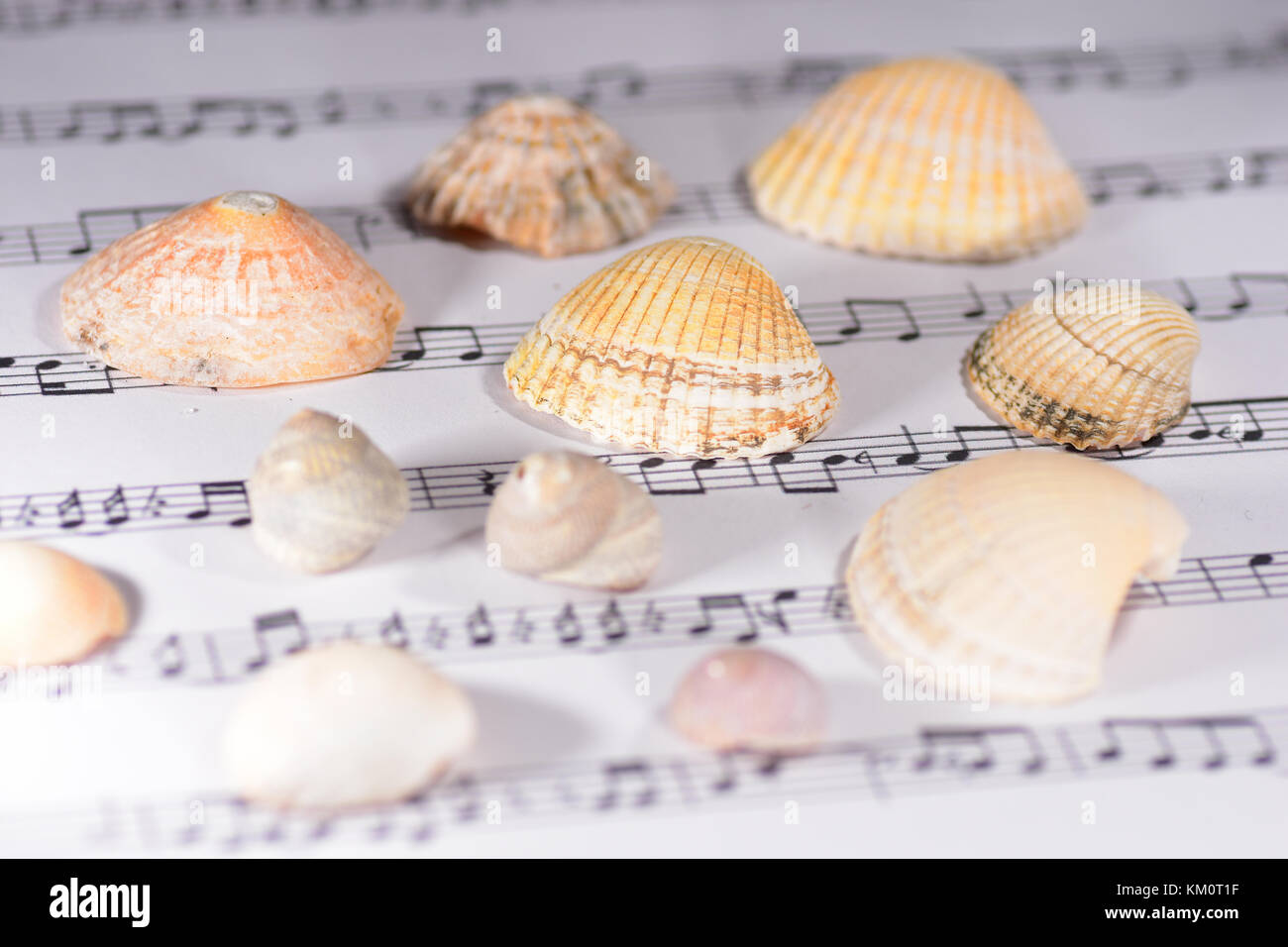 Sea shells on a music sheet concept Stock Photo - Alamy