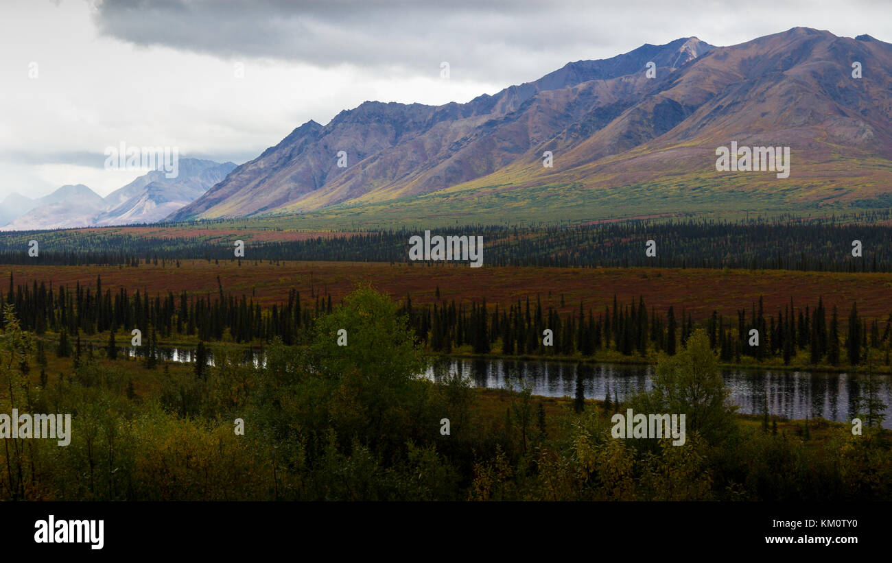 View of Alaskan Wilderness in Fall Colors Stock Photo - Alamy