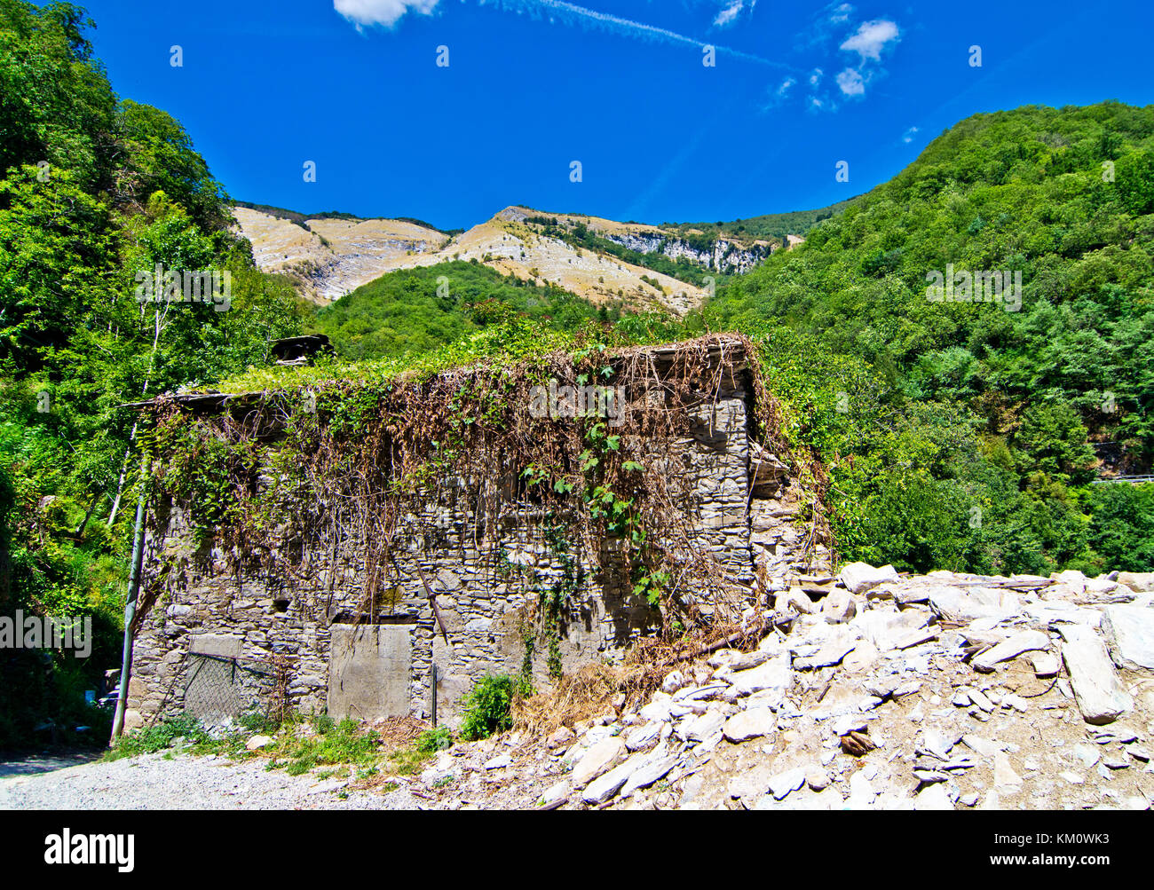 stone building collapsed due to the earthquake and flooded by plants ...