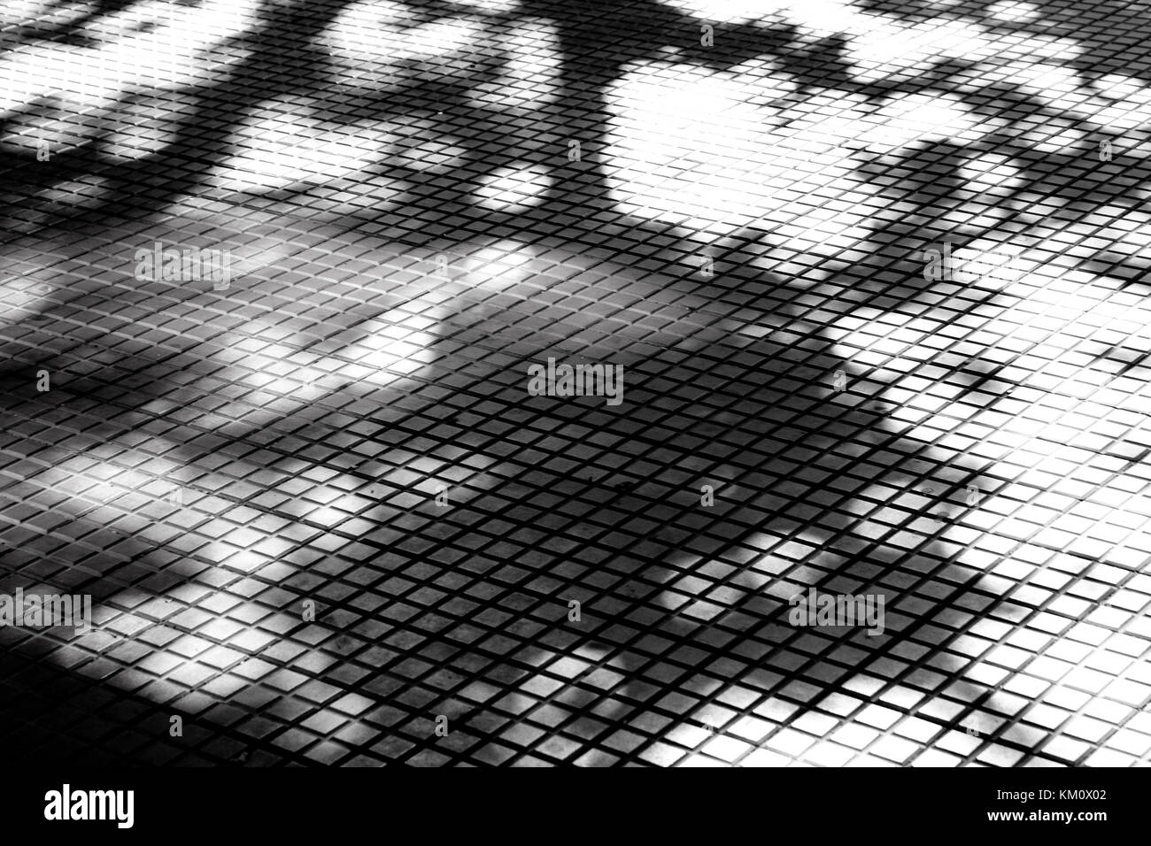 Shadows of trees od tiled city sidewalk in back and white Stock Photo ...