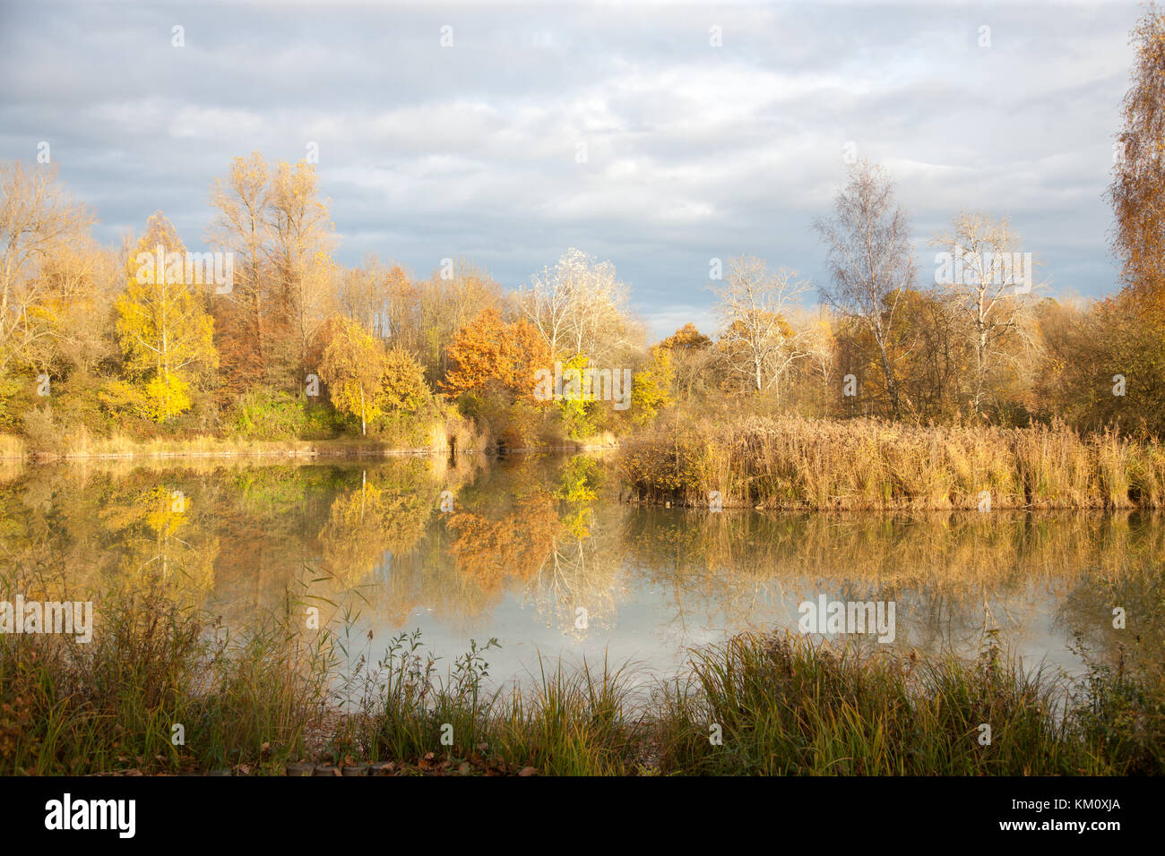 Landscape in Germany, autumn, trees and bushes near lake Stock Photo ...