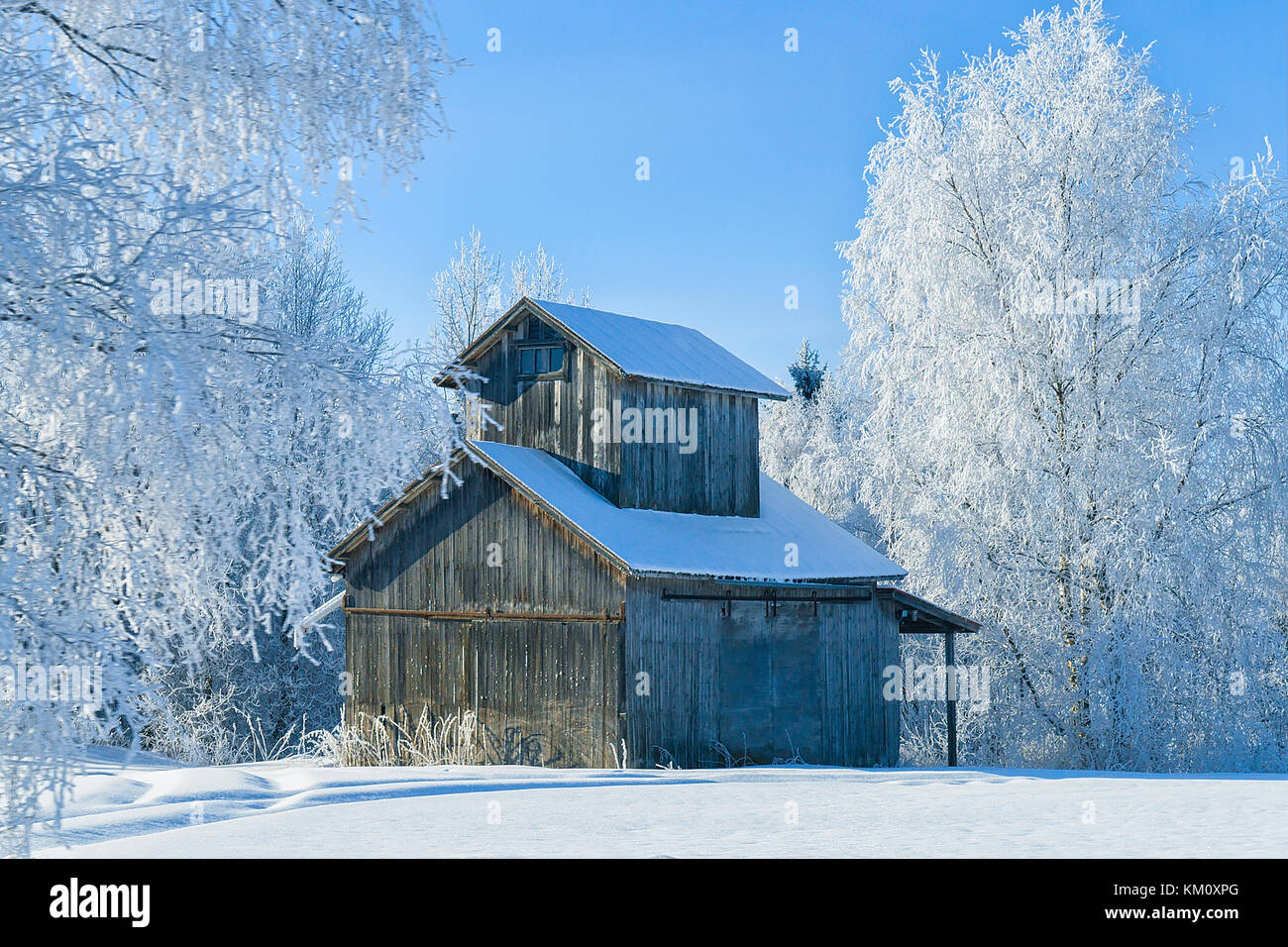 Wooden barn in winter countryside in Lapland, Finland Stock Photo - Alamy