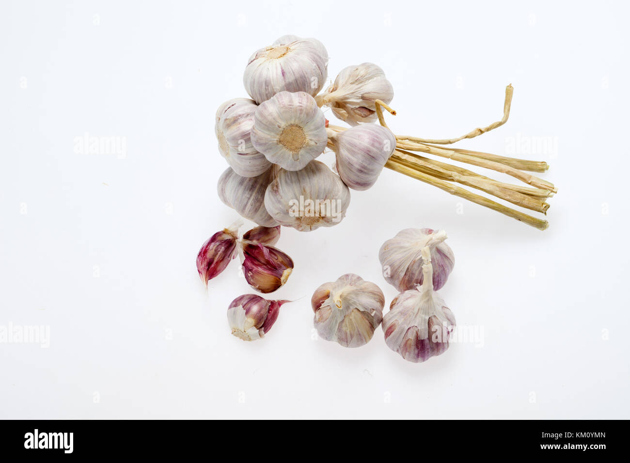 fresh garlic on white background Stock Photo - Alamy