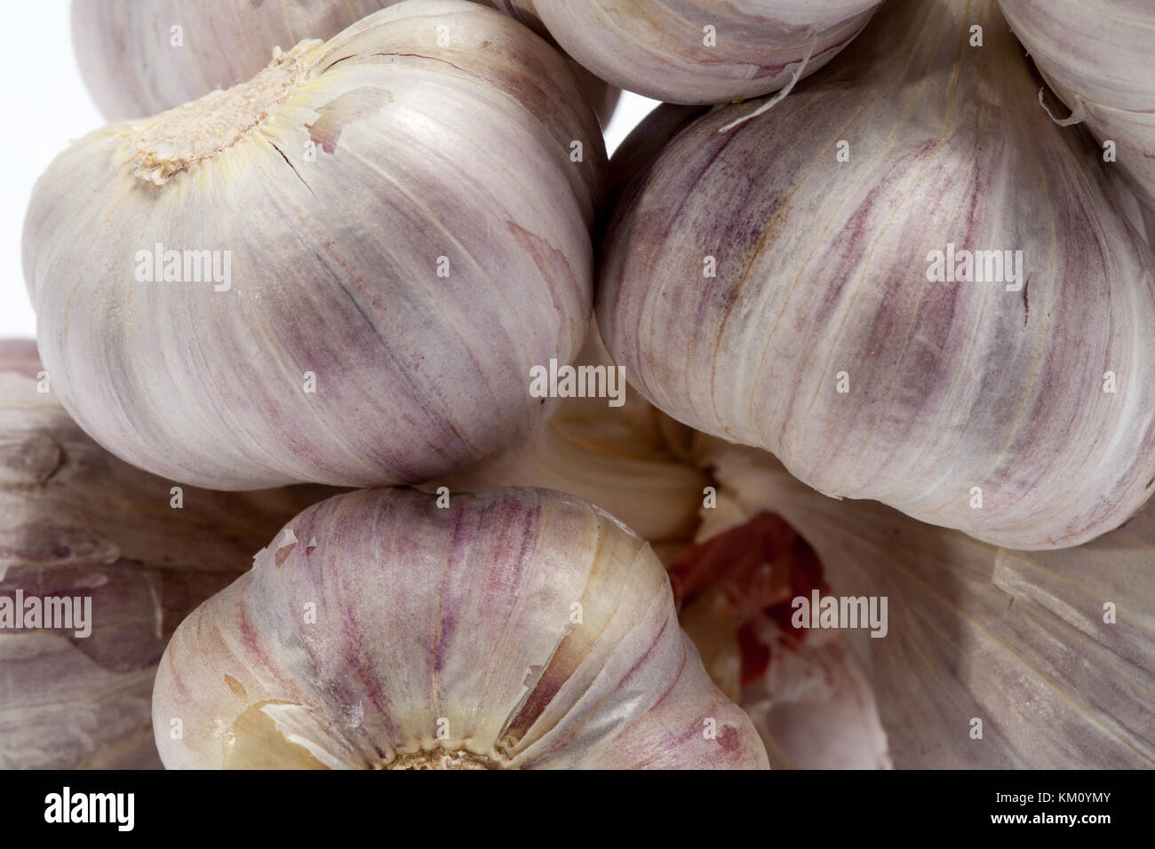 fresh garlic on white background Stock Photo - Alamy