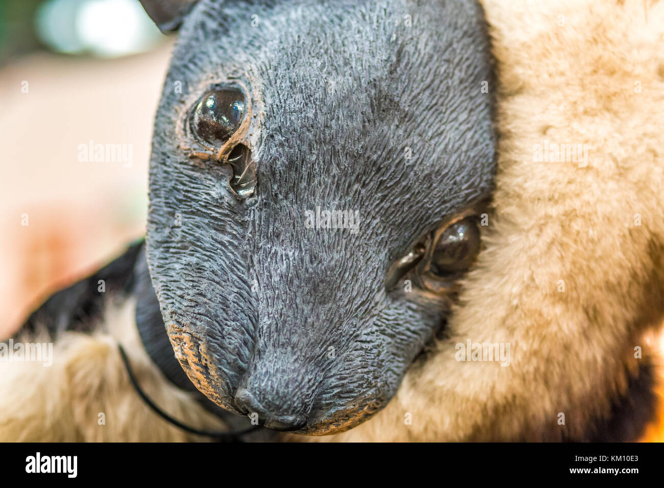 Fake animal hi-res stock photography and images - Alamy