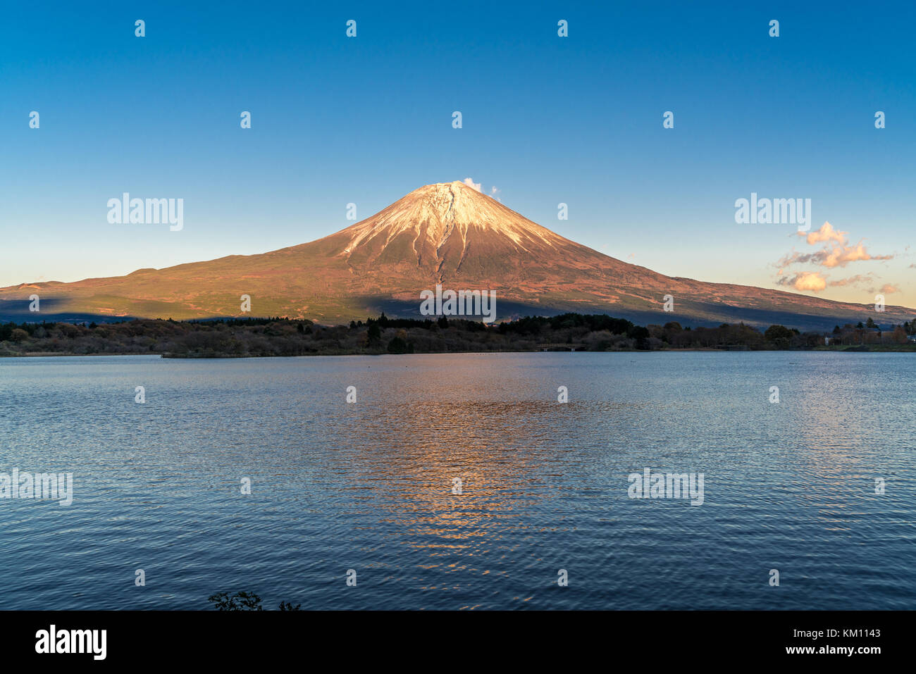 Japanese Tanuki Stock Photos & Japanese Tanuki Stock Images - Alamy