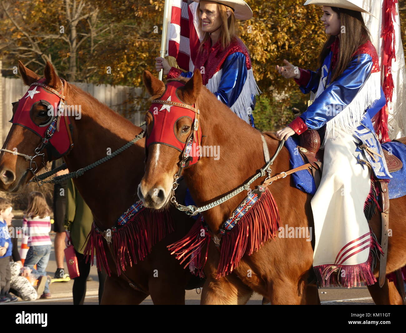 Horse in the parade hi-res stock photography and images - Alamy
