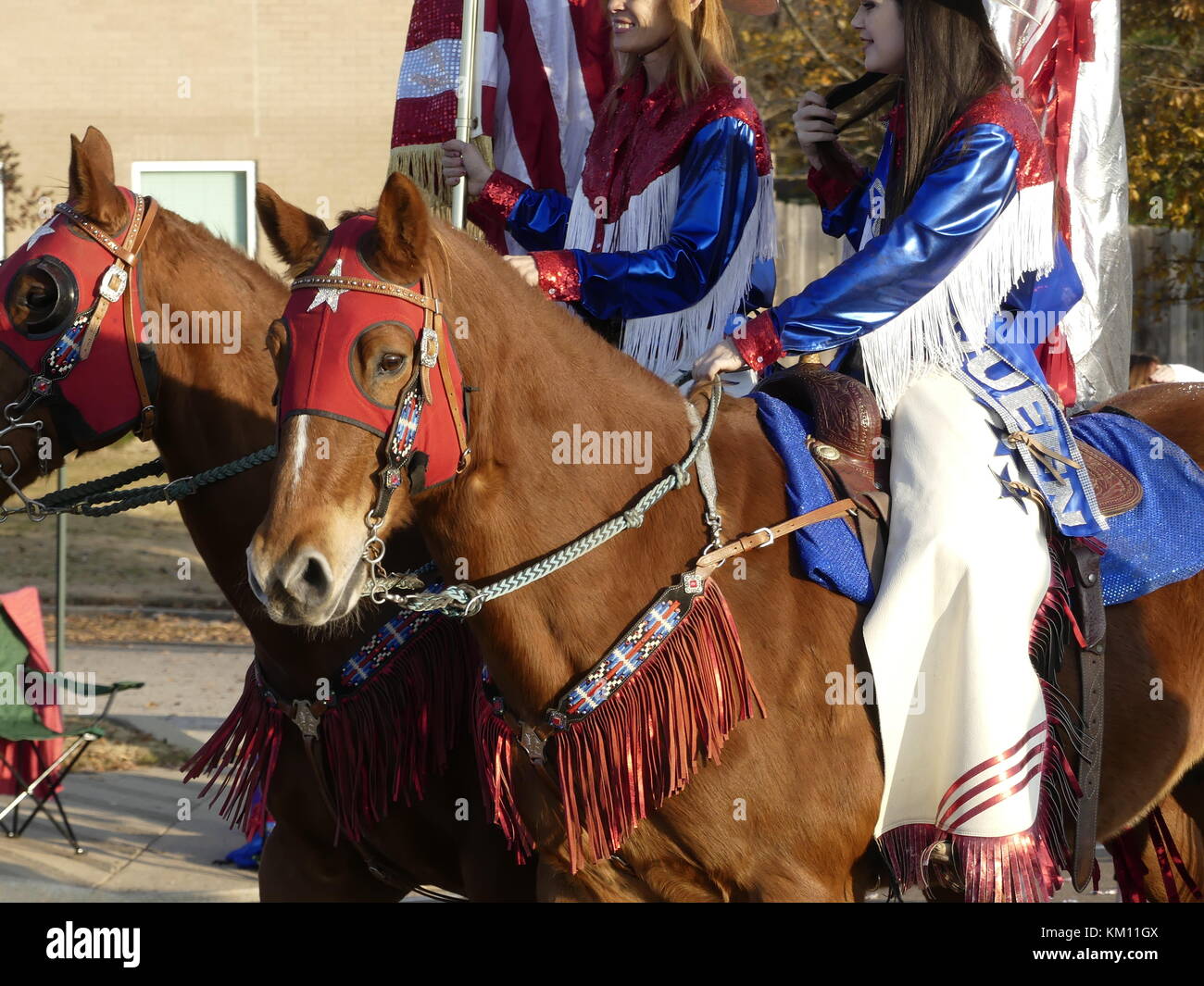 horse in the parade Stock Photo - Alamy