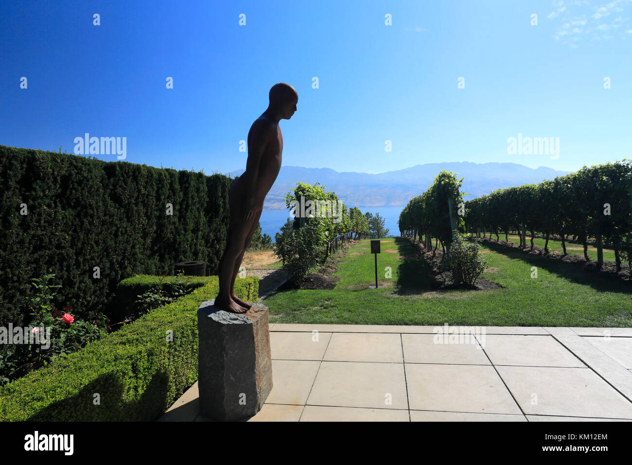 Mission hill family estate winery hi-res stock photography and images ...