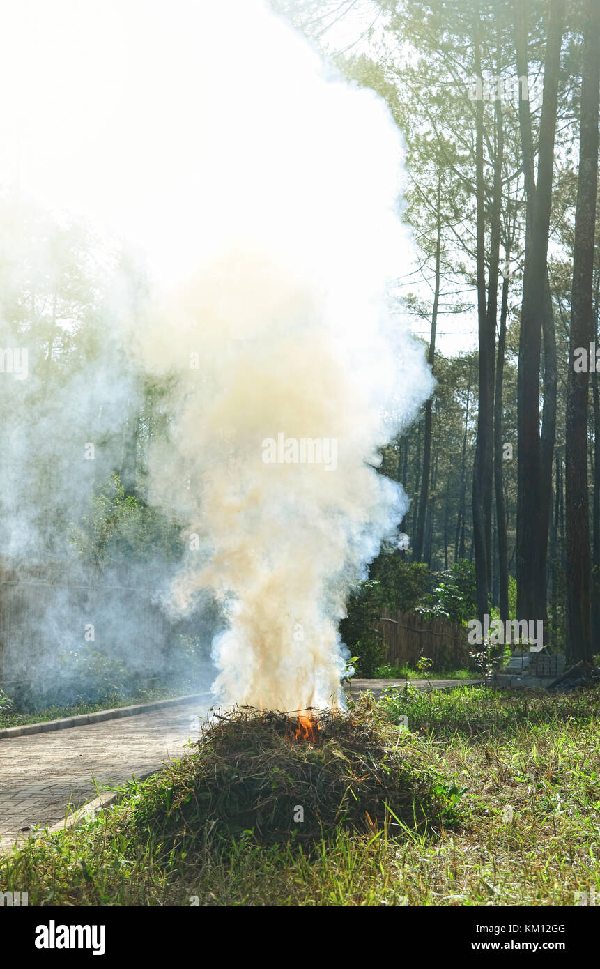 White smoke from burnt grass Stock Photo - Alamy