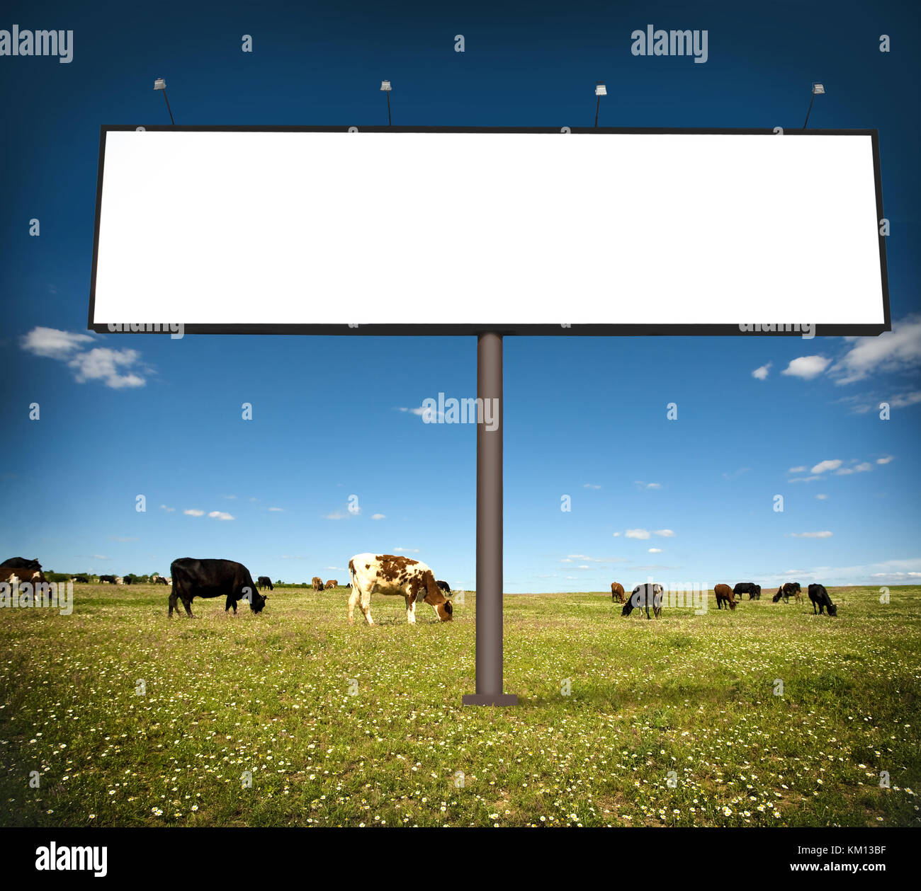Outdoor advertising billboard Stock Photo - Alamy