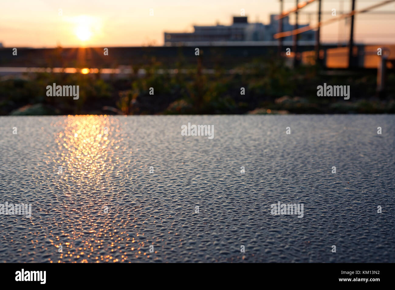 Morning dew in sunlight of sunrise on a tin roof Stock Photo - Alamy
