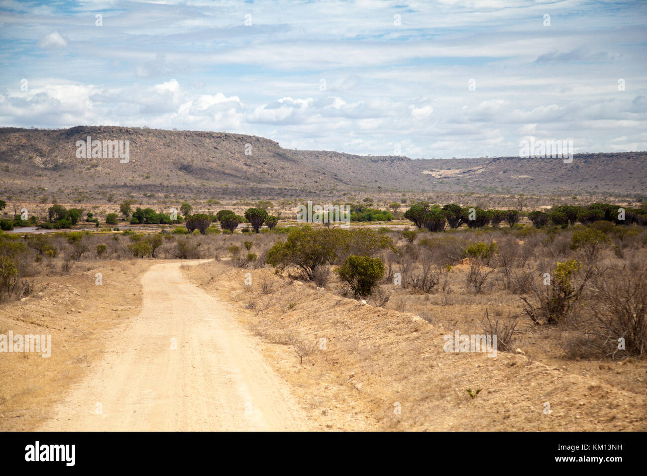 Path in savannah sun hi-res stock photography and images - Alamy