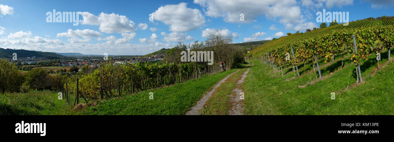 Landscape panorama with vineyard and orchard and field trail Stock ...